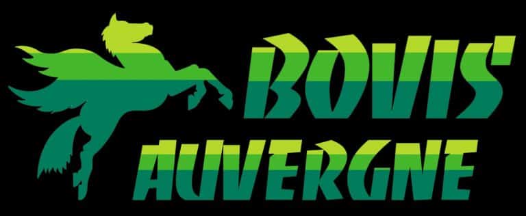 Logo Bovis Site - USI Rugby